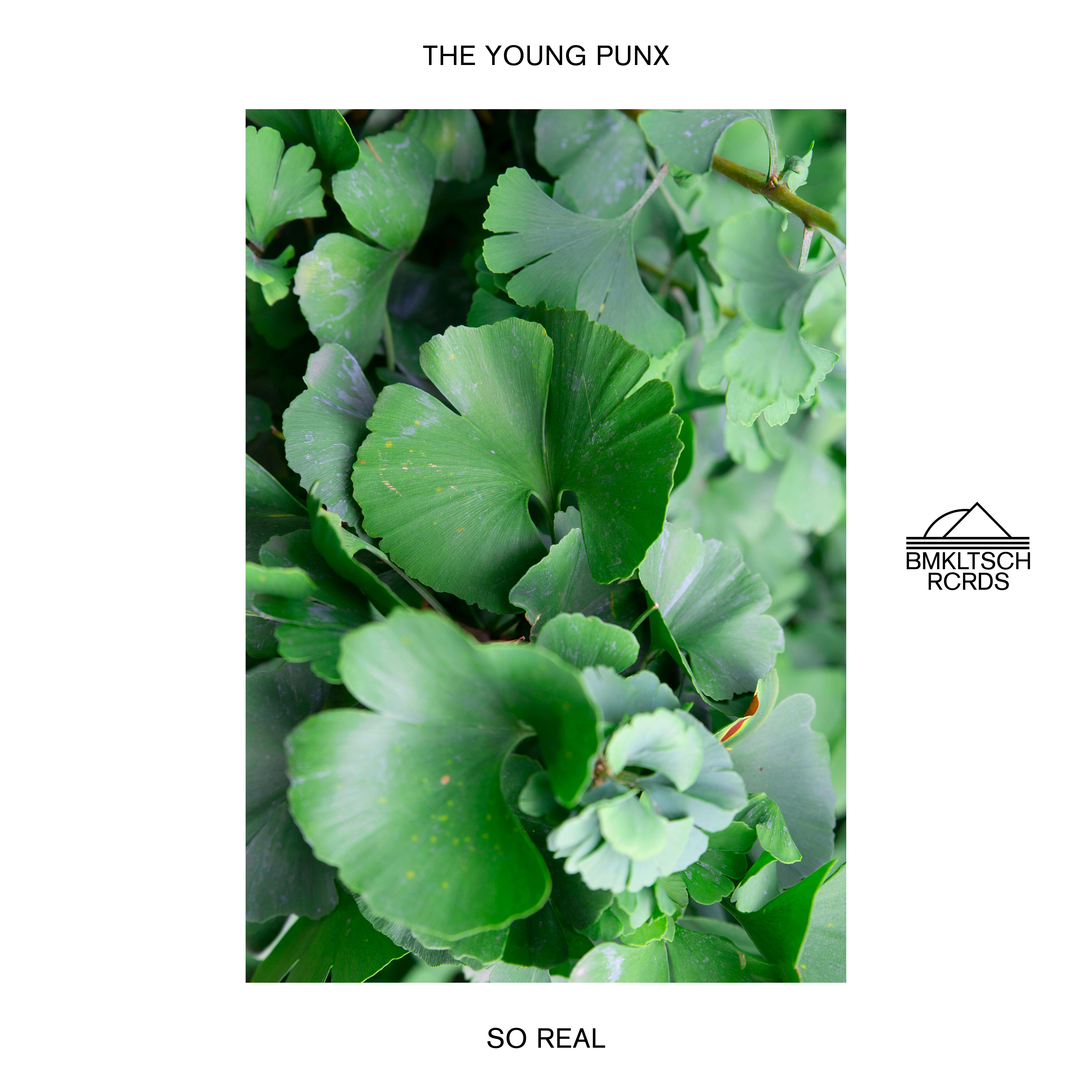 So Real (Mike Mago & The Tribe Of Good Remix) By The Young Punx